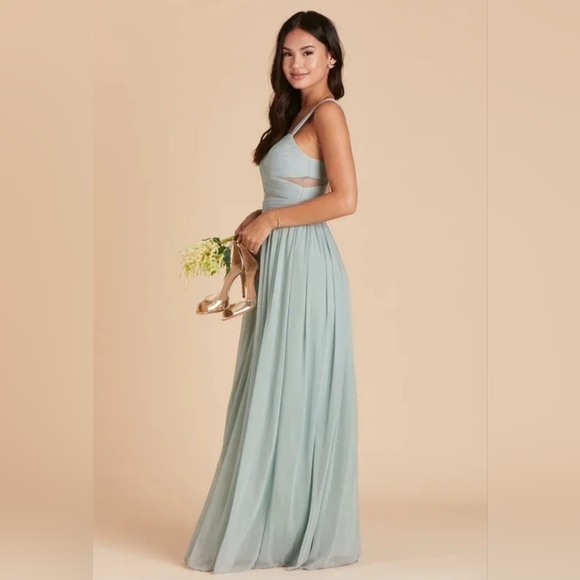 Birdy Grey | Dresses | Birdy Grey Nwt Elsye Maxi Dress In Mesh Sage ...
